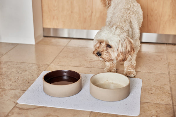 Dog feeding mat store